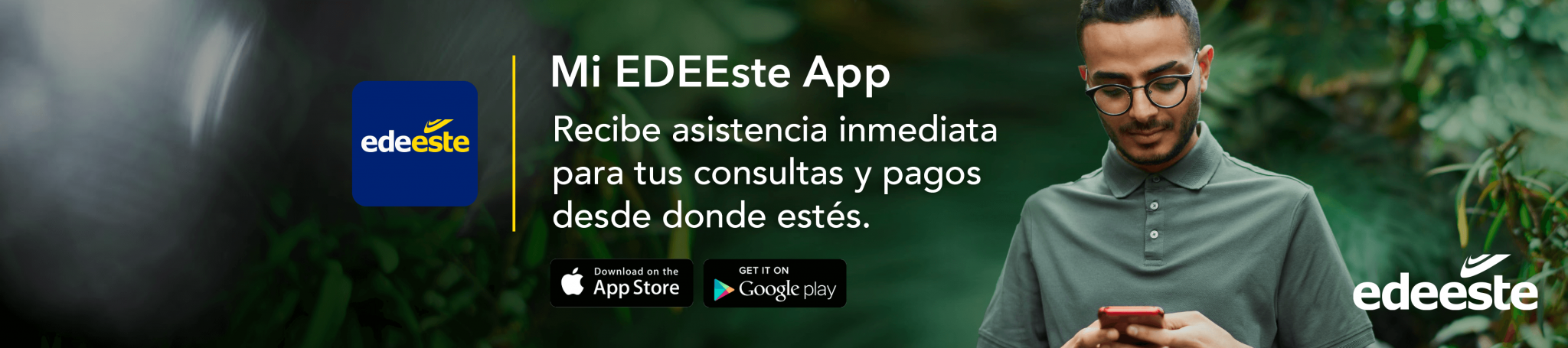 Empresa Distribuidora de Electricidad del Este - EDEESTE